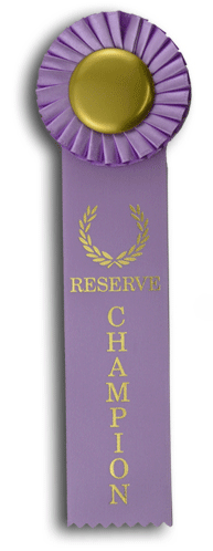 Horse Show Placing Ribbons with single streamer