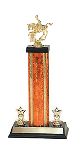 S3-718G-719G Barrel Racing Trophy