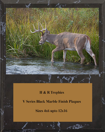 Archery Plaques V-Series Black Marble Finish