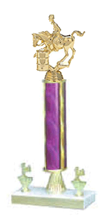 R3R Barrel Racing Trophy