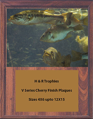 Bass Fishing Plaques Cherry Finish