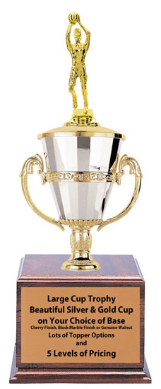 Boys or Mens Basketball Tournament Trophies