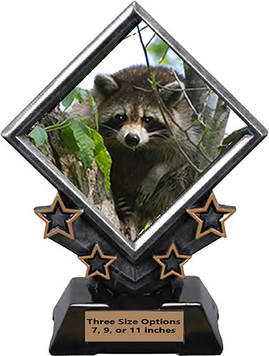Coon Hunt Diamond Star Trophies