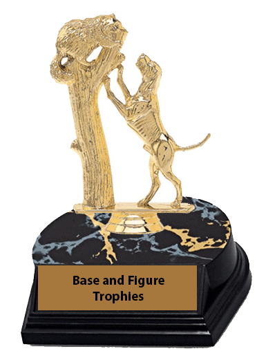 Small Coon in Tree Trophies