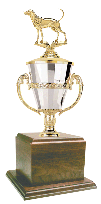 Coonhound Bench Show Cup Trophies