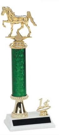 R2R Gaited Horse Trophy