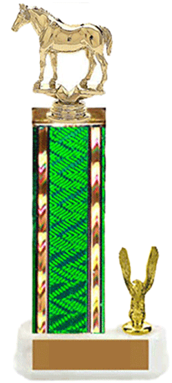 S2-701G Quarter Horse Trophy with Trim