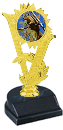 Small Squirrel Hunt Trophies